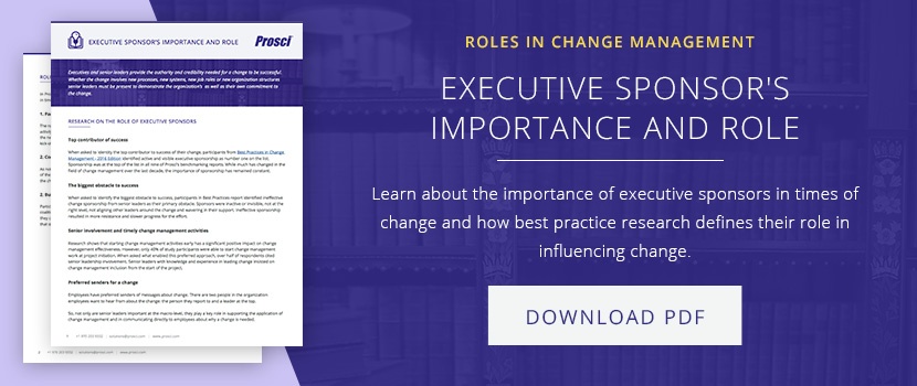Executive Sponsor Importance and Role